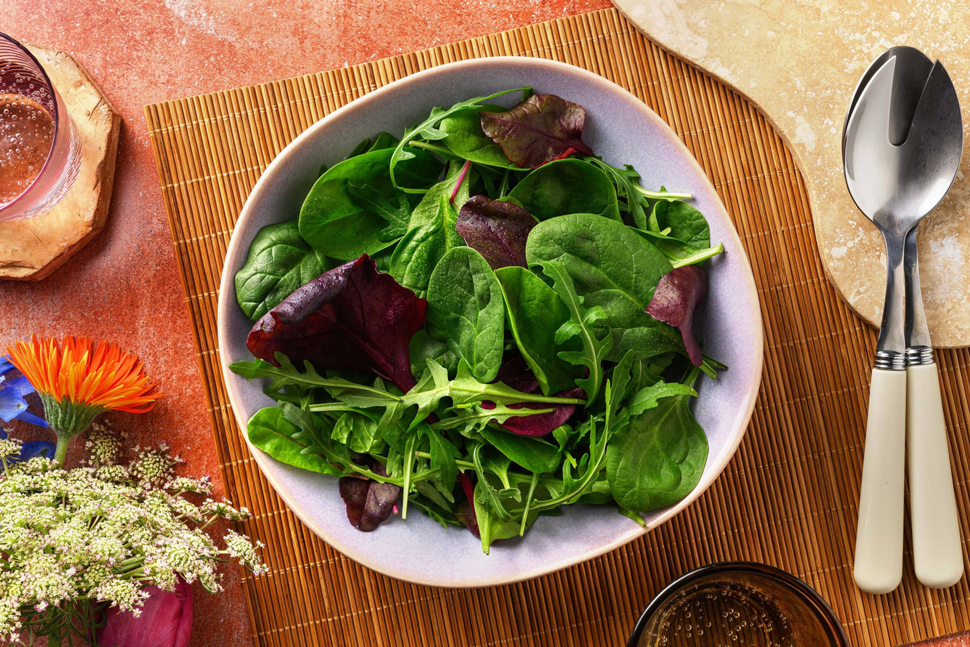 Green Chef Recipes - Nutritionist-Approved Recipe Hub
